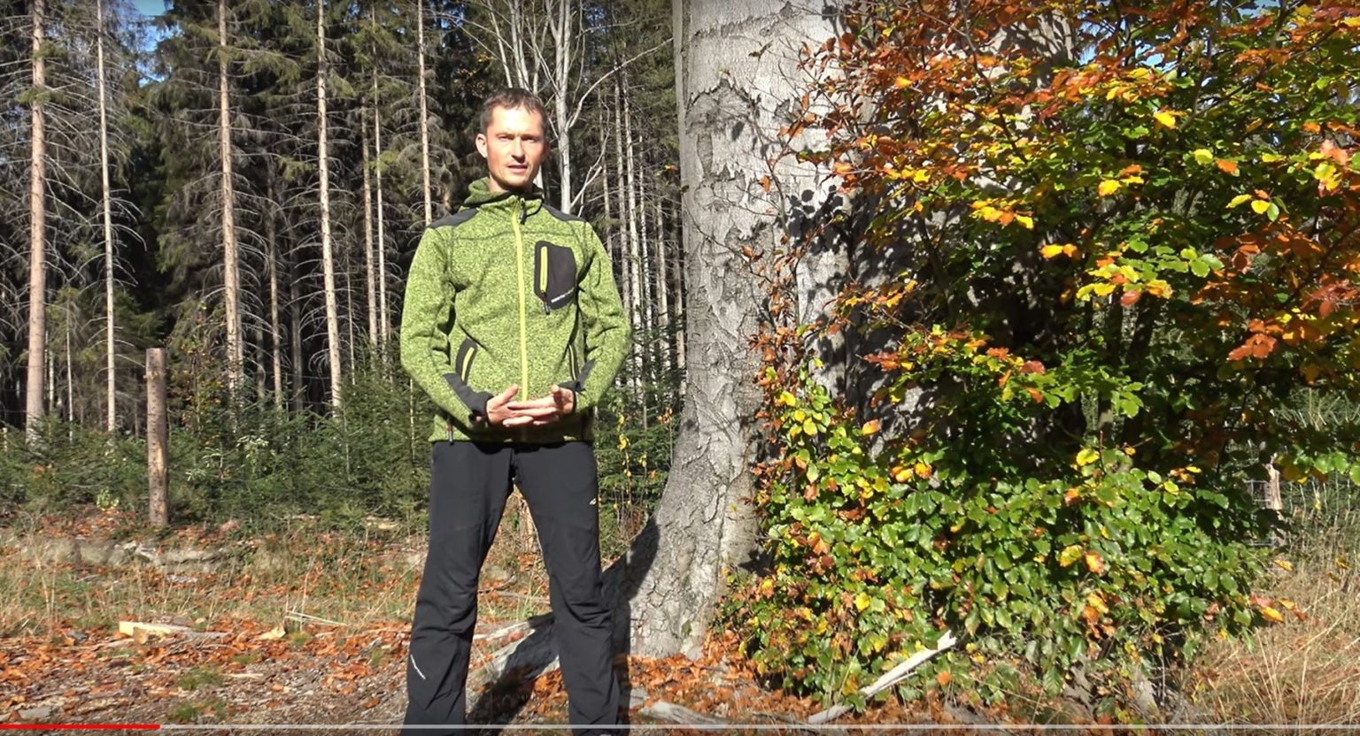 močový měchýř | Čínská cvičení čchi-kung